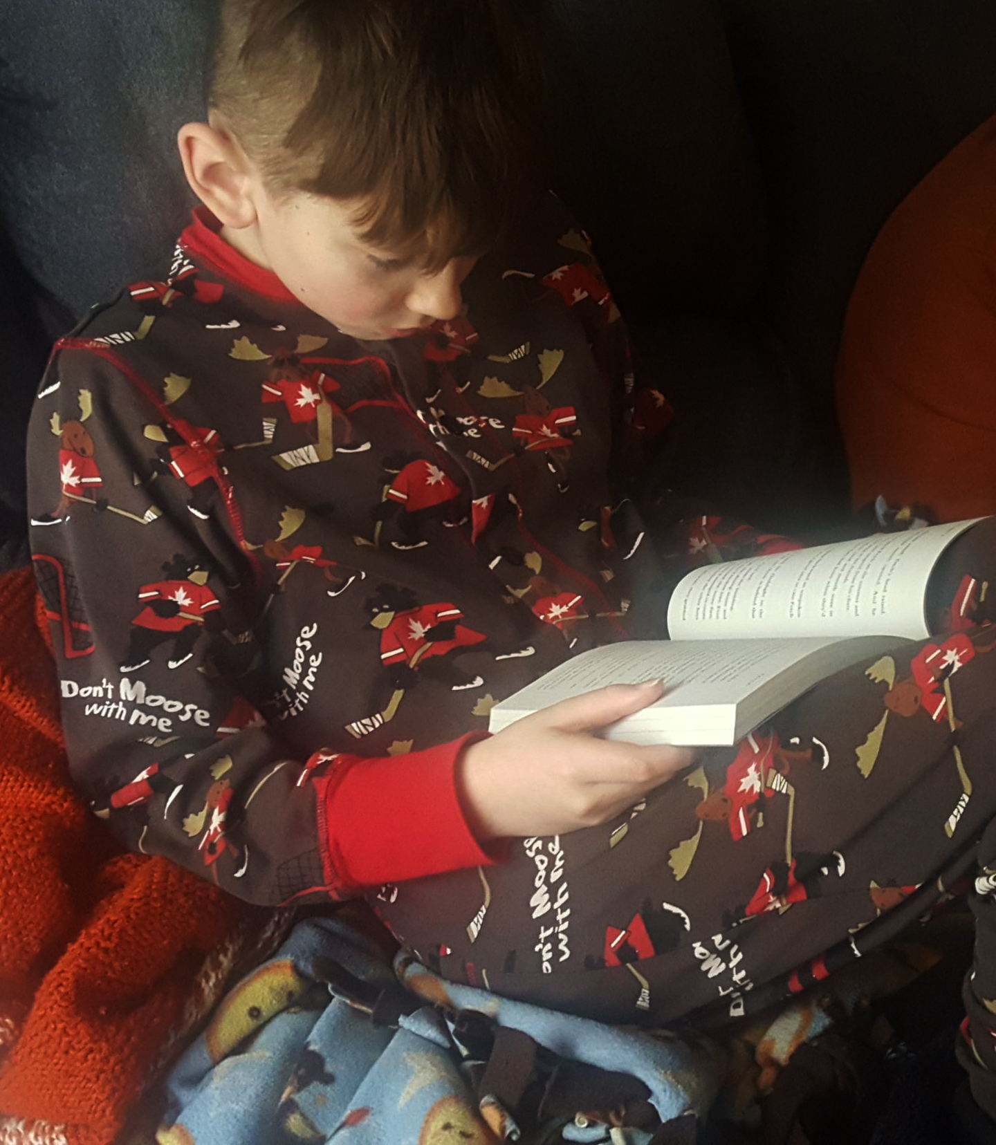 Grade 6 Reading ~ Orange Raspberry Lemonade